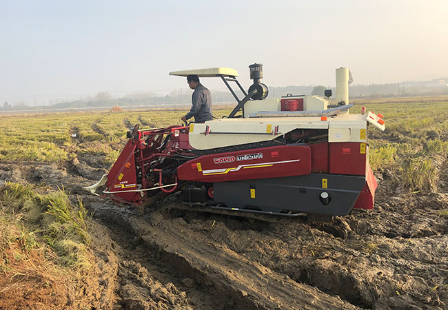 Head Feed Series | FMWORLD Agricultural Machinery