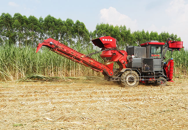 FMWORLD sugar cane harvester | FMWORLD Agricultural Machinery